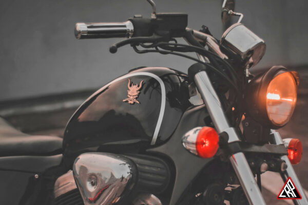 InsideRACING Honda Steed 400 Cruiser